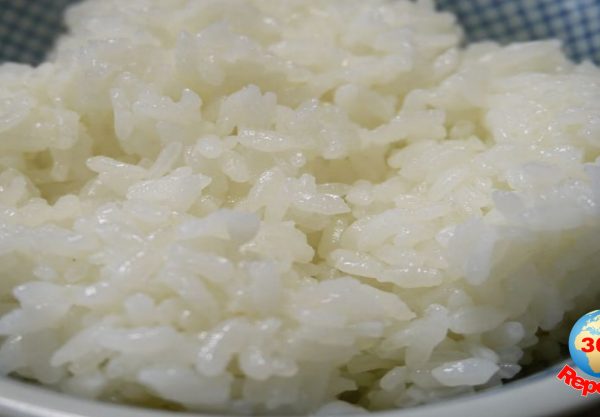 365 Reporter Bangla » সব ধরনের খবর - Bangla Khobor, Bengali Song Lyrics ...